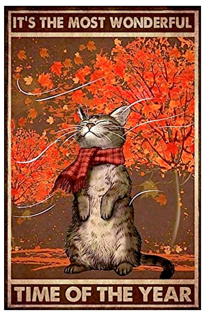 Beautiful & Sentimental Kitty Plaques - Furbaby Friend Gifts